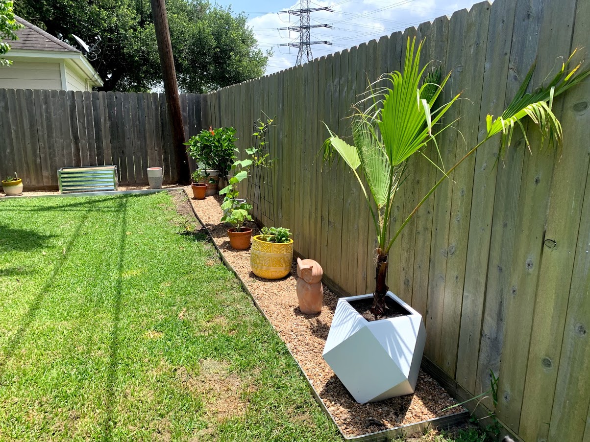 How to Start a Native Container Garden – Houston AuduBlog