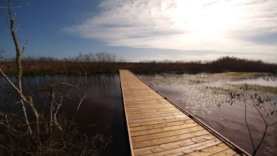 New trail to bring back safe public access to Horseshoe Marsh Bird ...