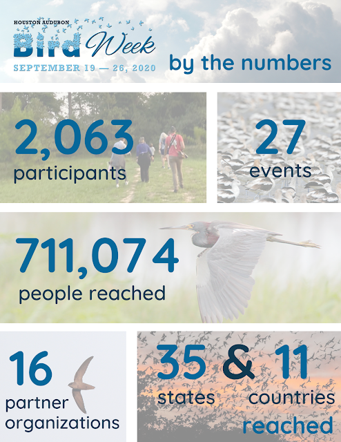 Farewell to Houston Bird Week 2020 – Houston AuduBlog