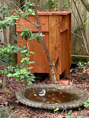 How to DIY a Dripper for birds – Houston AuduBlog