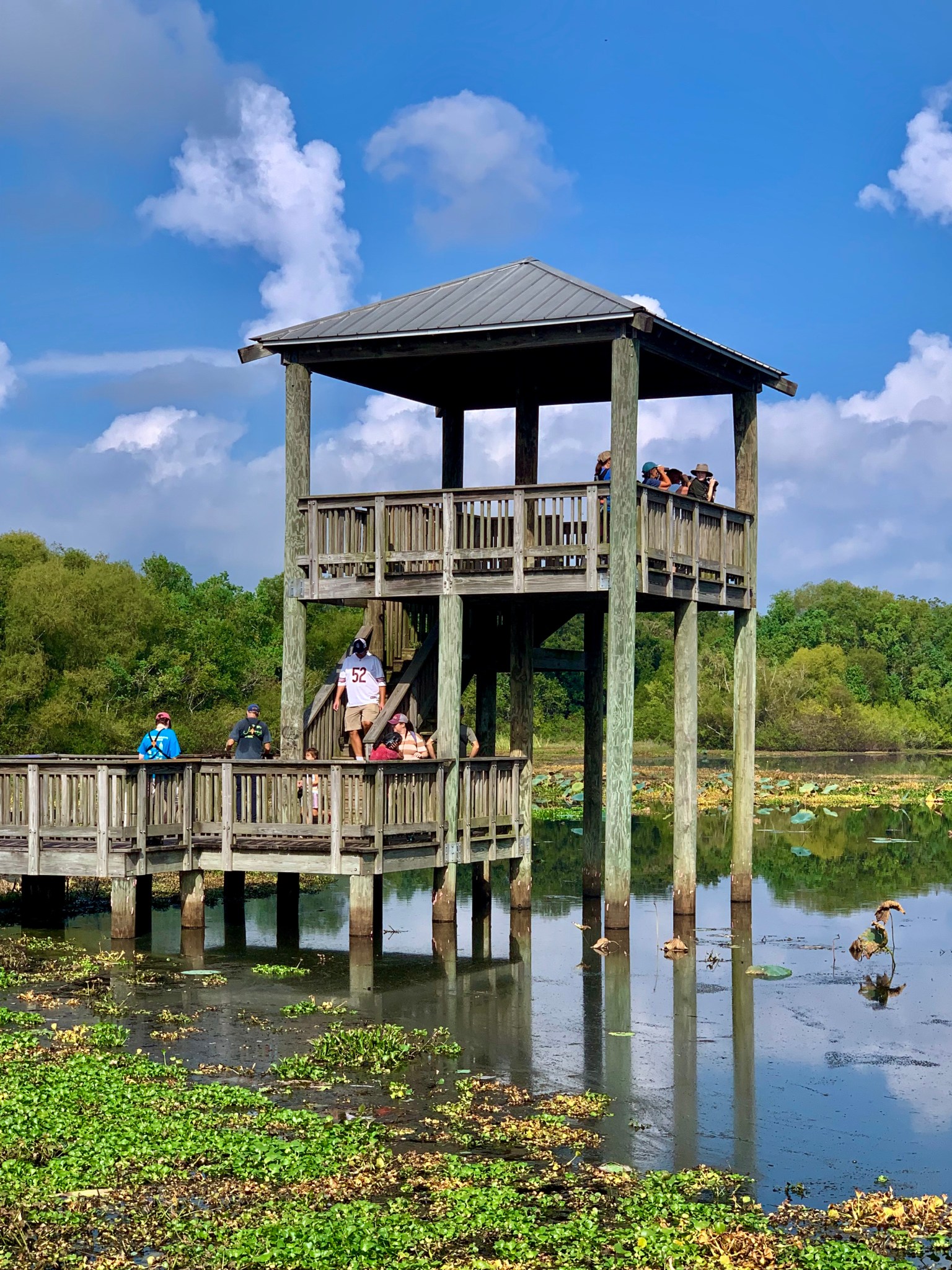 Farewell to Houston Bird Week 2021! – Houston AuduBlog