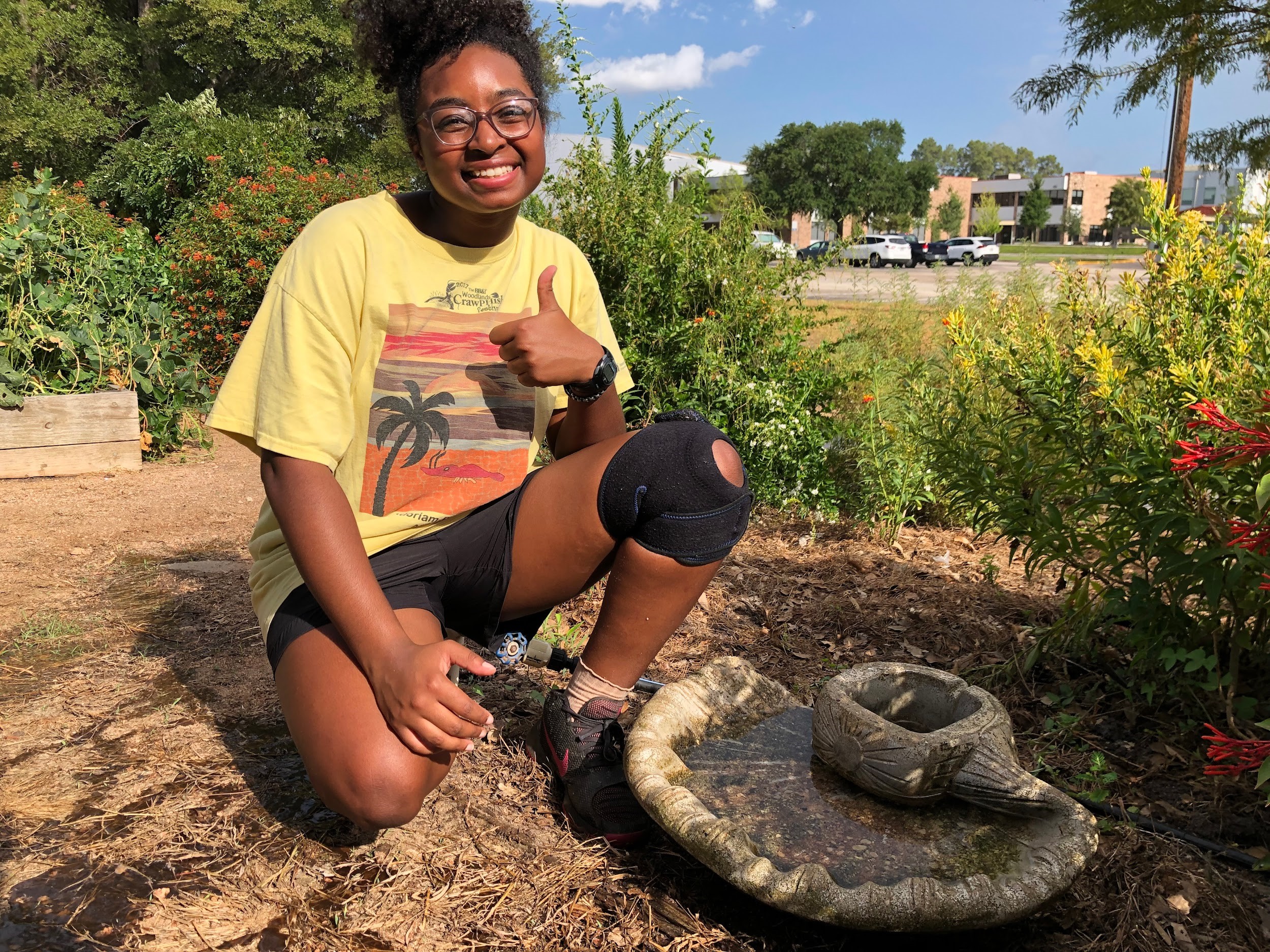 DIY Water Feature with Drip – Houston AuduBlog