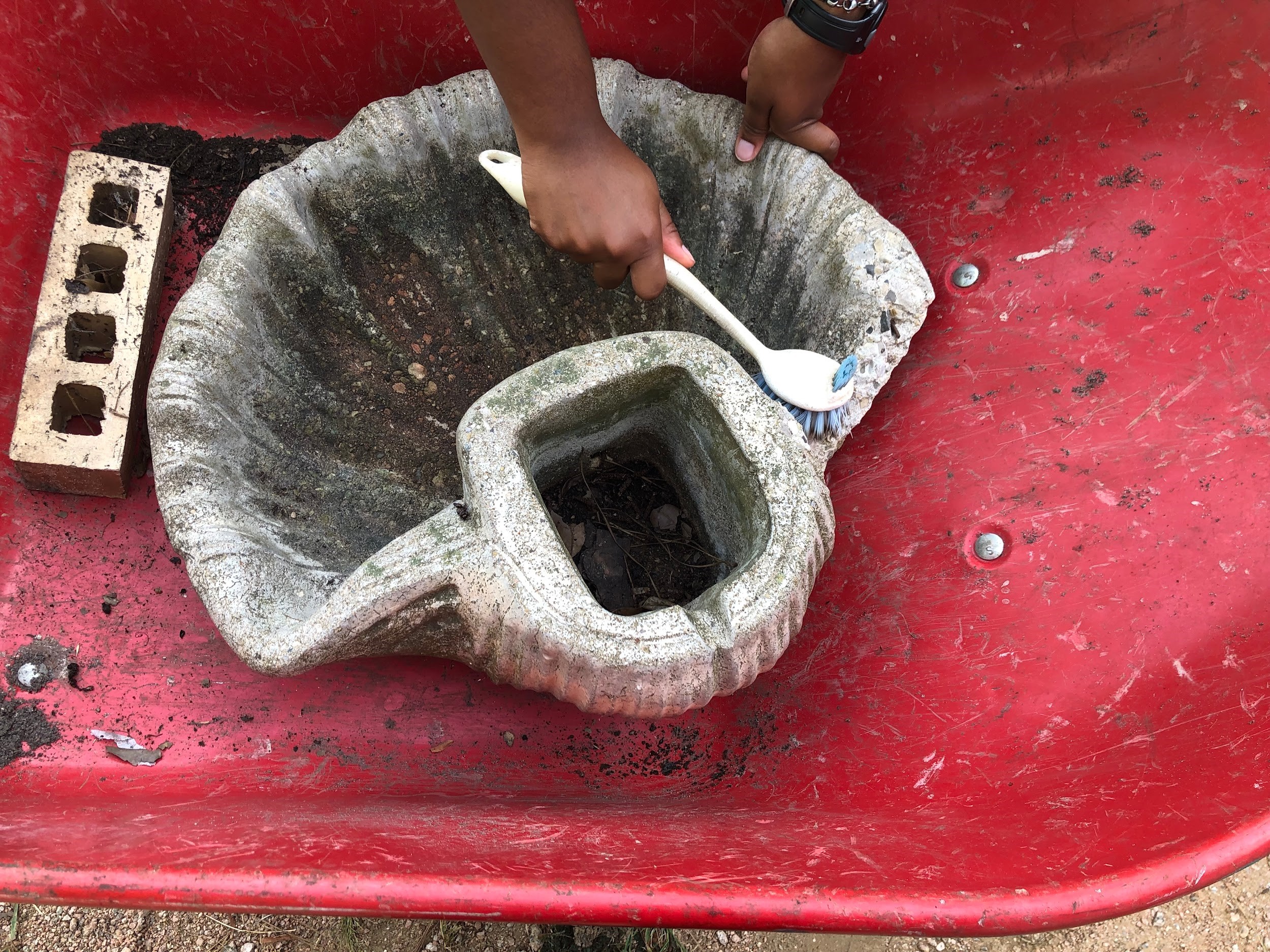 DIY Water Feature with Drip – Houston AuduBlog