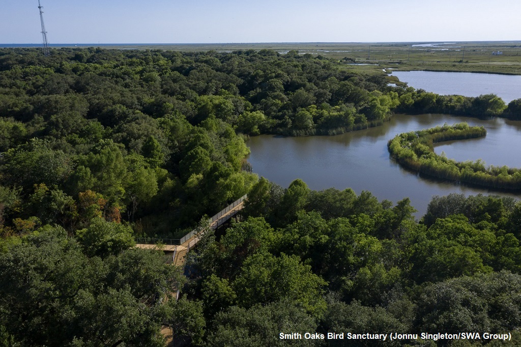 Trip Itinerary: A Birdy Weekend at High Island – Houston AuduBlog