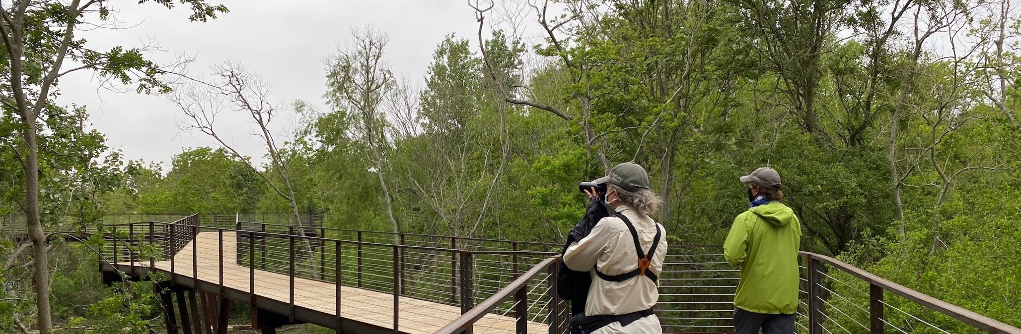 Trip Itinerary: A Birdy Weekend at High Island – Houston AuduBlog