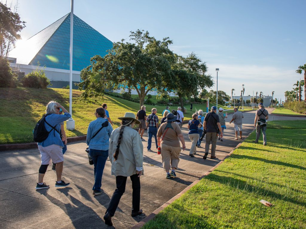 Bird Week 2023 Calendar – Houston AuduBlog