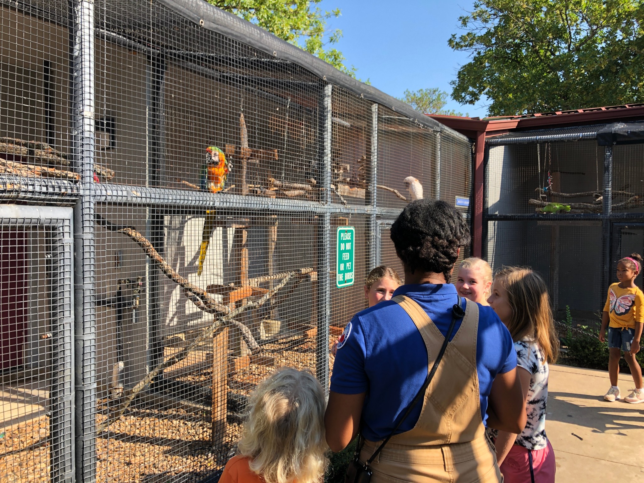 Bird Week 2023 Calendar – Houston AuduBlog