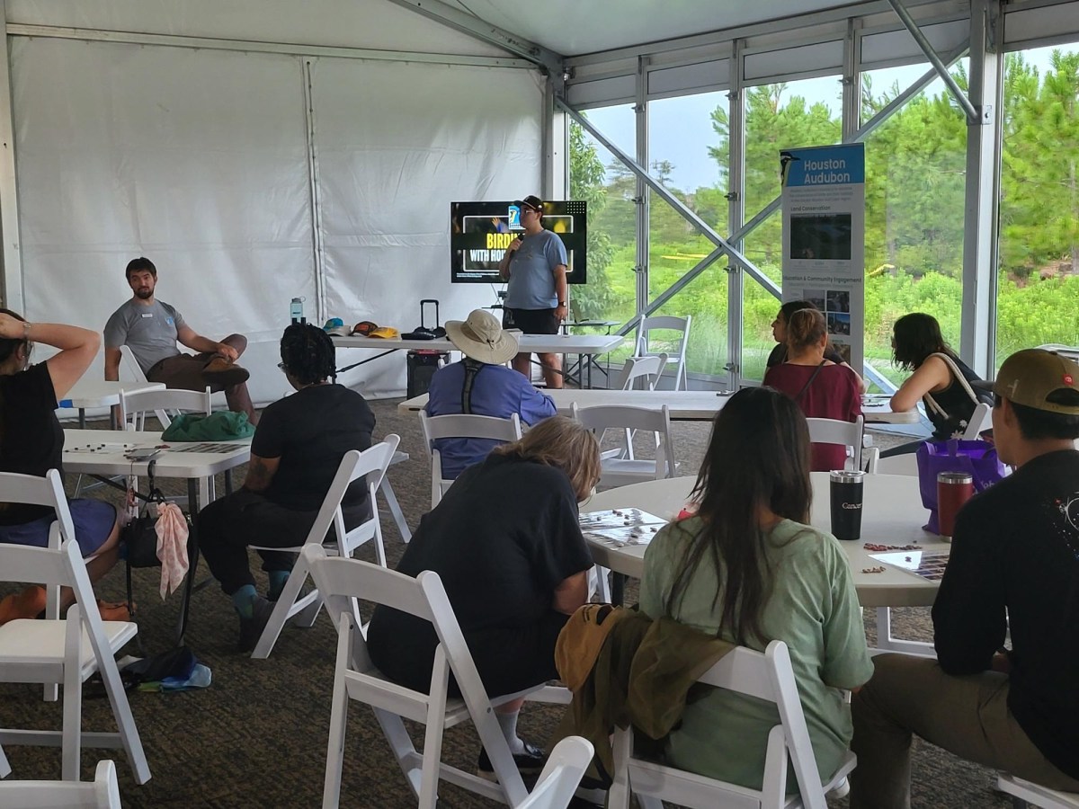 My Spring Community Outreach Internship – Houston AuduBlog