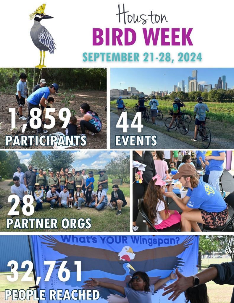 Farewell to Houston Bird Week 2024! – Houston AuduBlog